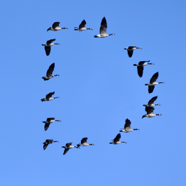 How To Select The First Row In A Group Learnsql